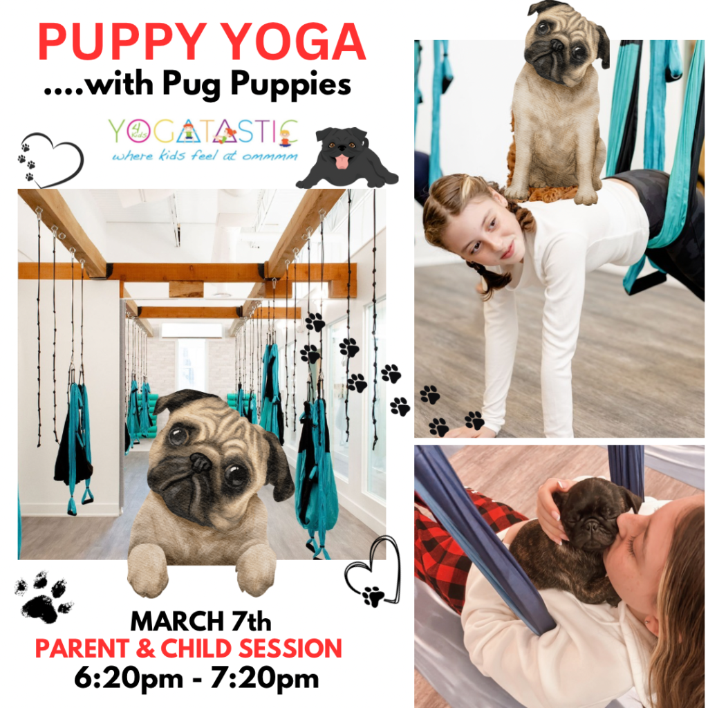 Pug Puppy Yoga - Parent & Child Session - March 7th - Yogatastic 4 Kids